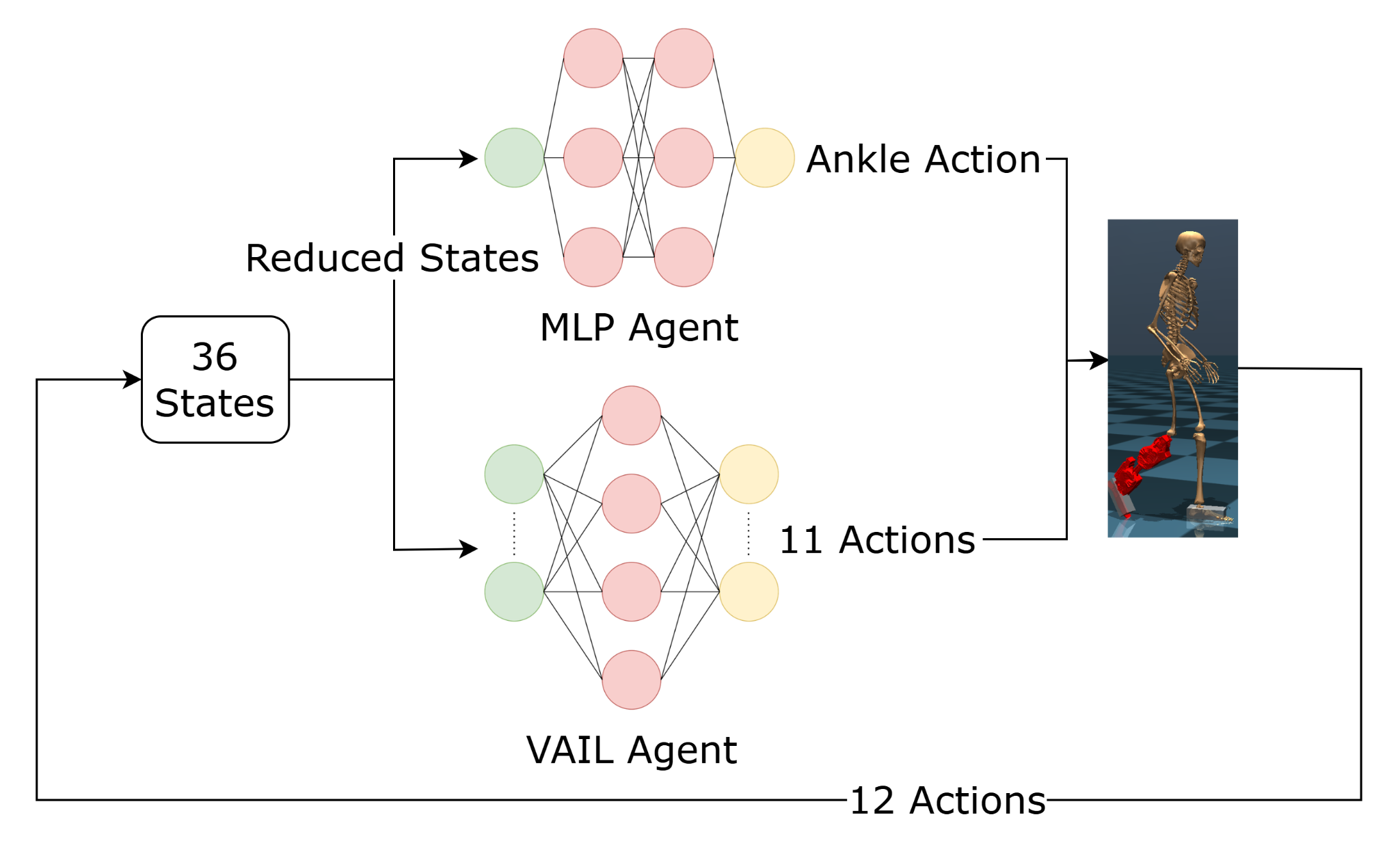 A Comparative Study of Imitation and Reinforcement Learning for Transtibial Prosthesis Control ...